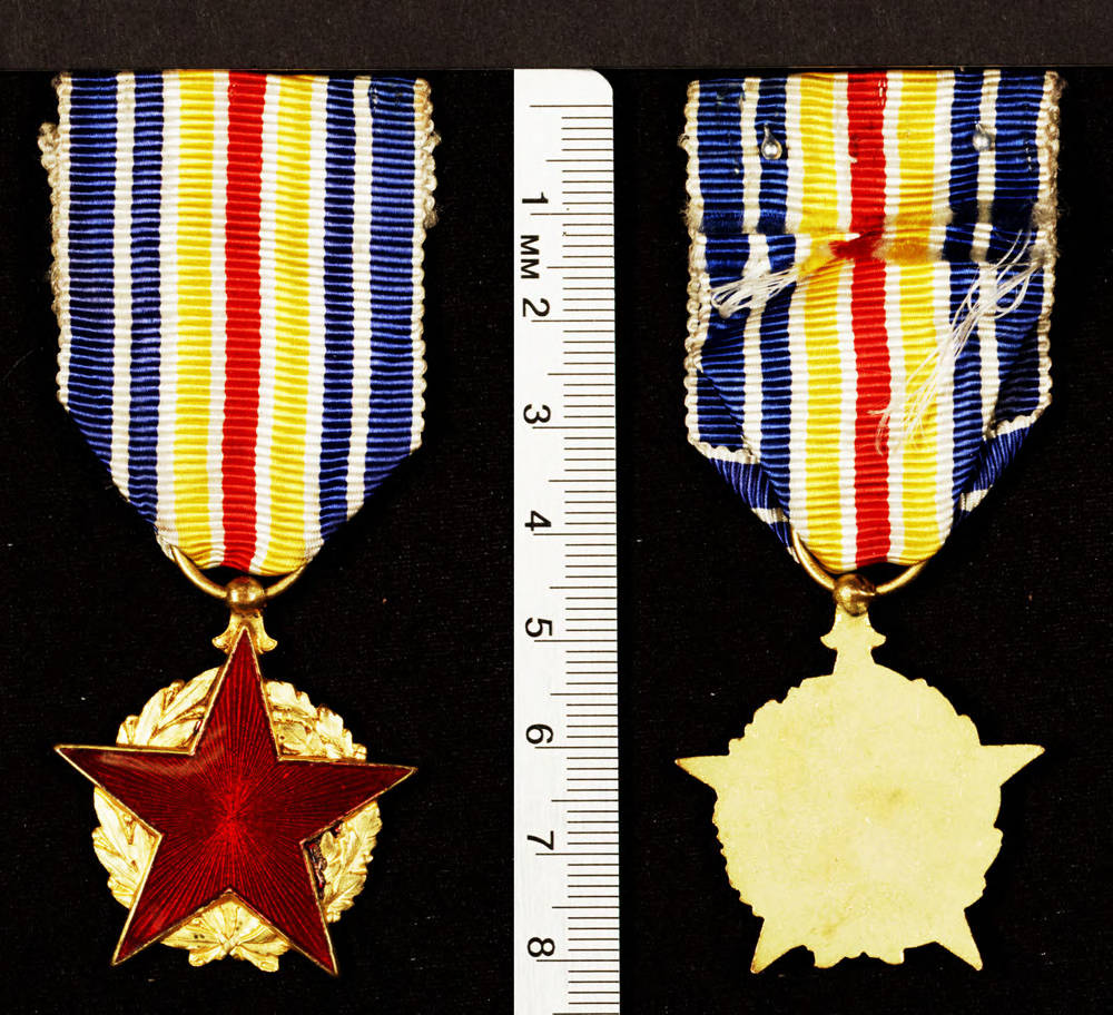 Military Realia / Artifact: French medal for... | Pritzker Military ...